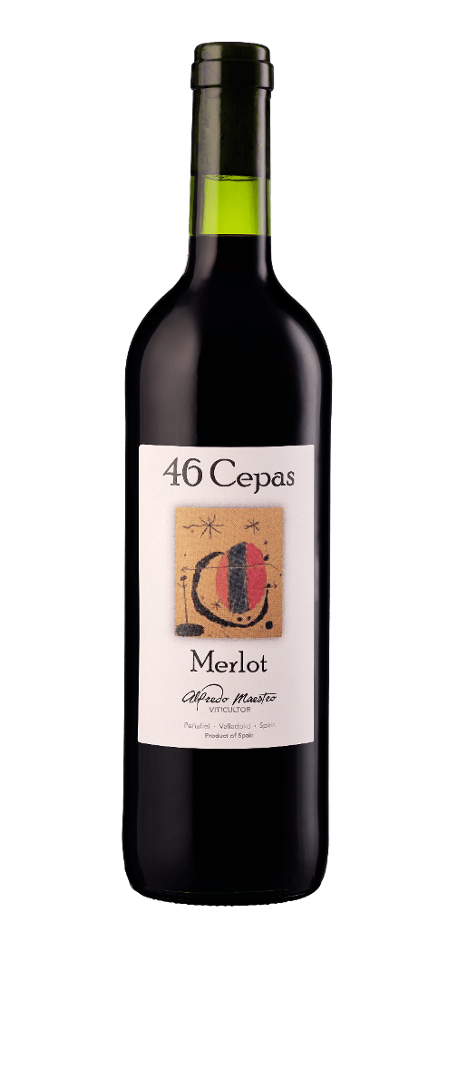 46 CEPAS - Alfredo Maestro